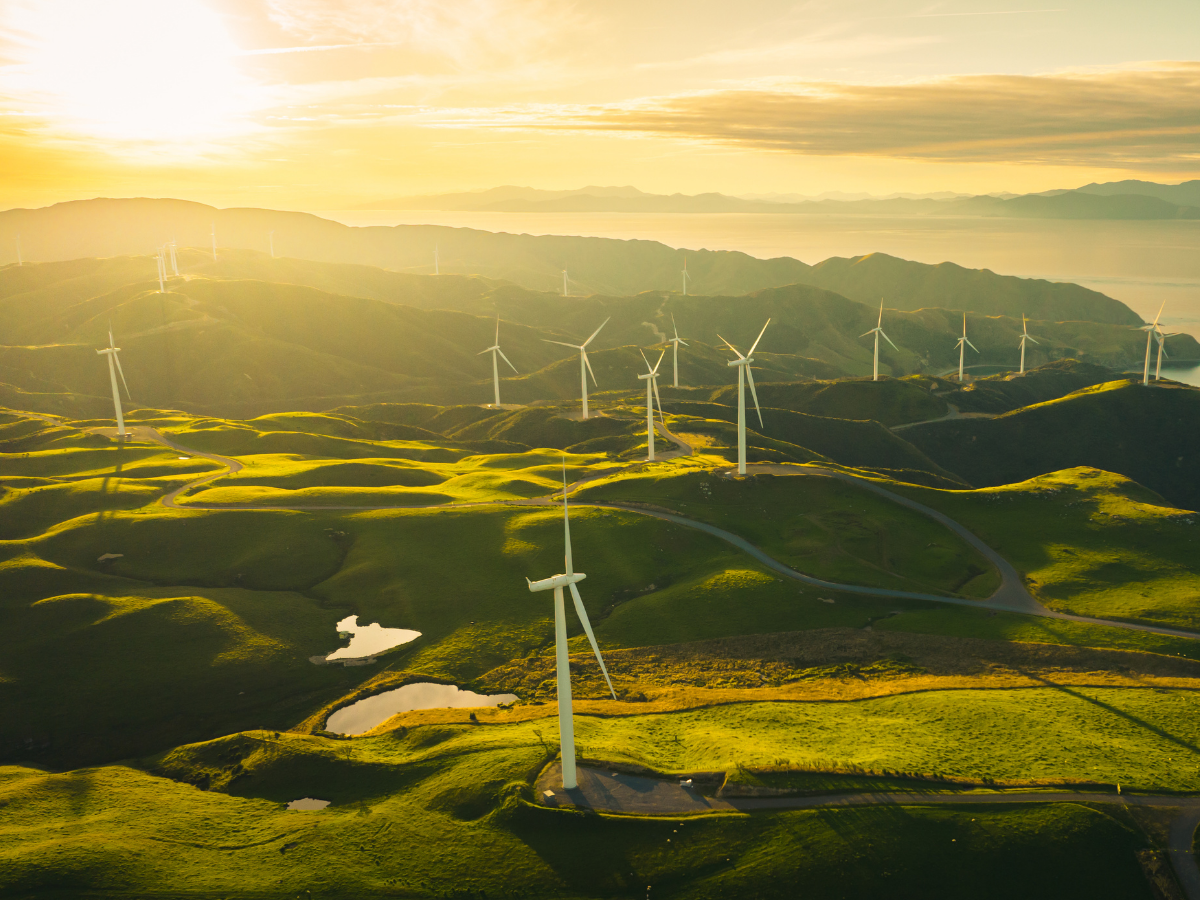 Generation and Renewable Development Consulting & Grid Analysis | ZEG